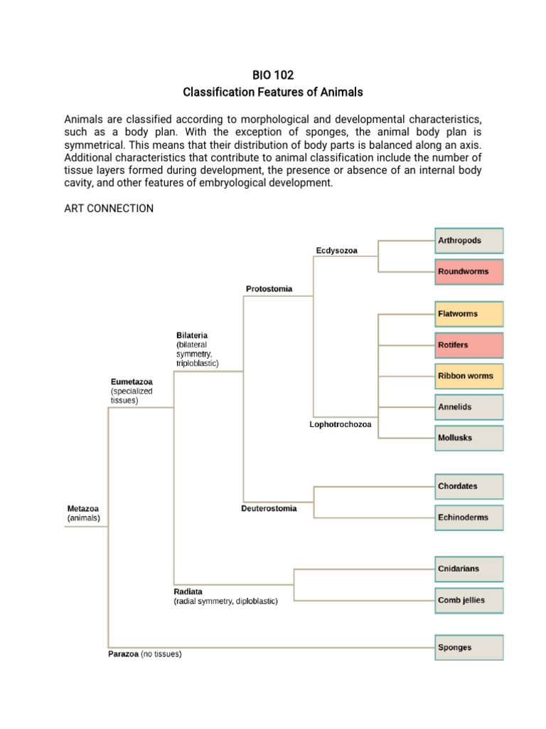 Animal Classification Features Explained | PDF | Sexual Reproduction ...