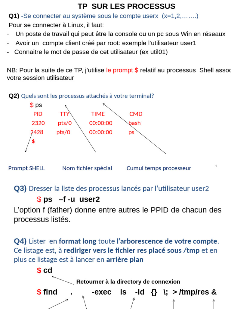 tpprocess | PDF | Interface en ligne de commande | Informatique