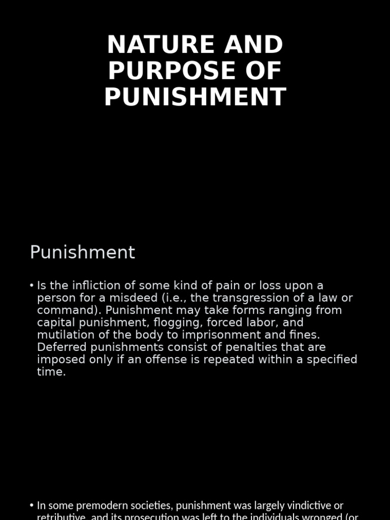 Understanding Punishment and Human Rights | PDF | Restorative Justice ...