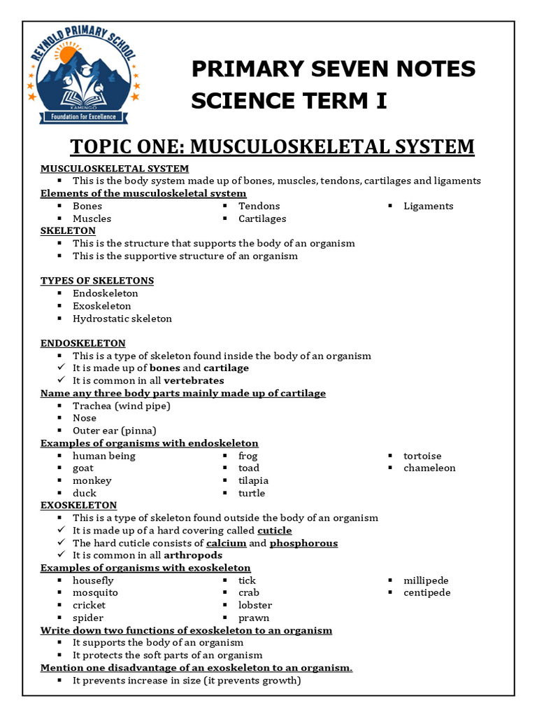 P7 SCIENCE TERM I 2025 | PDF | Atoms | Vertebral Column