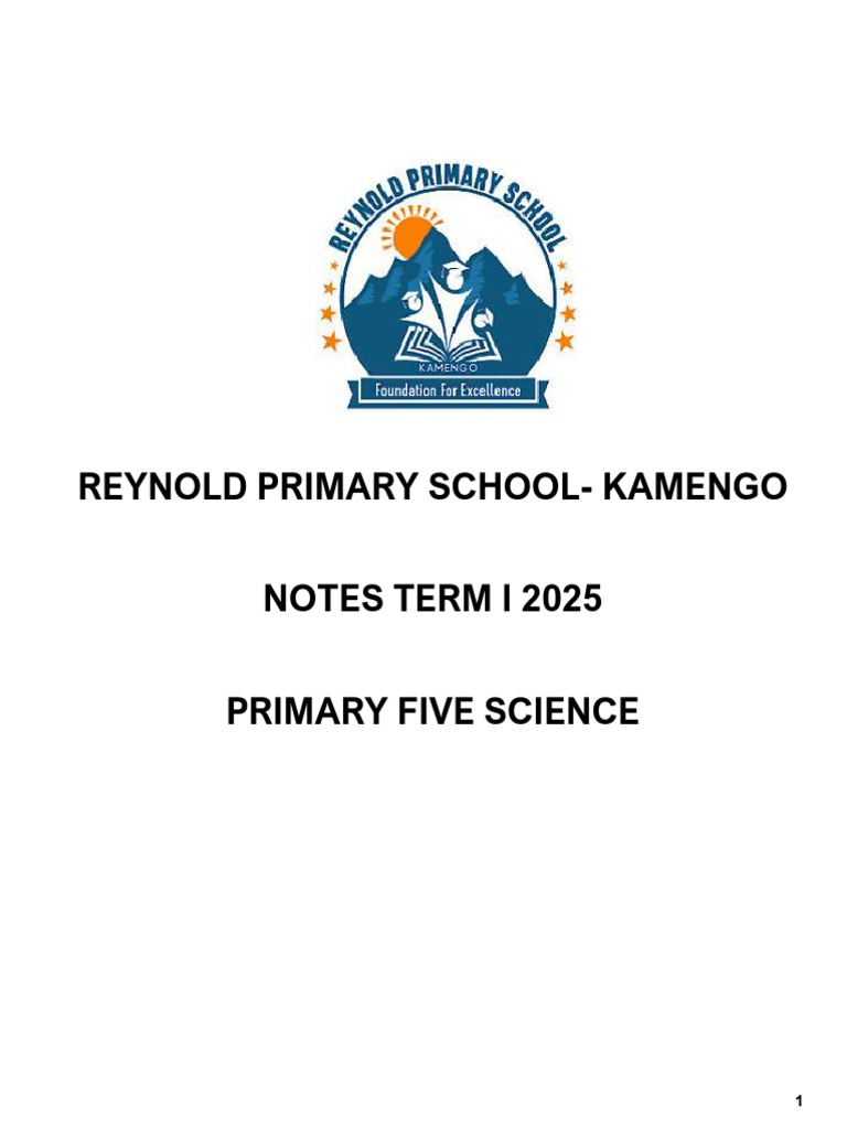 Primary Five Science Notes: Poultry Keeping | PDF | Honey Bee | Chicken