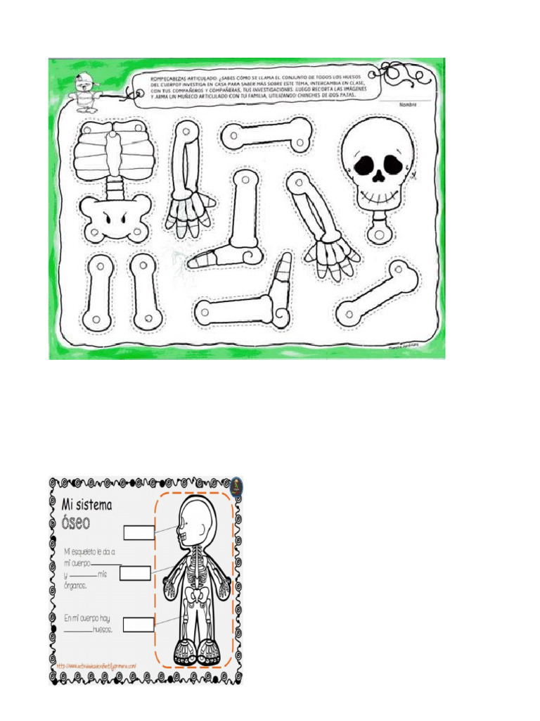 Sistema Oseo | PDF