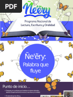 Presentación Programa Nacional Ñe'ëry. Norma R. López J. | PDF | Paraguay | Enseñando