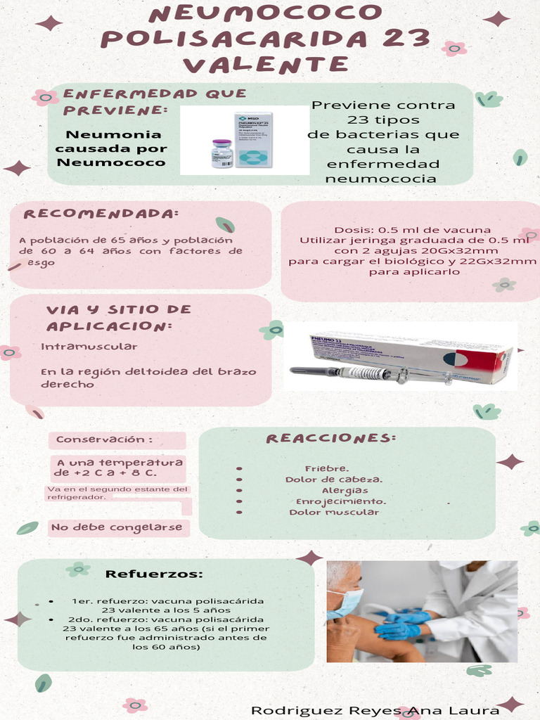 Vacuna Neumocócica: Dosis y Aplicación | PDF