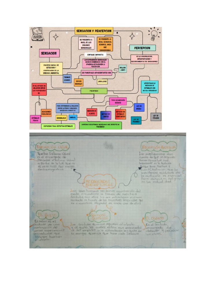MAPA DE SENSACION Y PERCEPCION | PDF