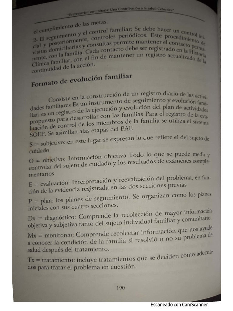 Int A La Enfermería Comunitaria. Cap12 | PDF