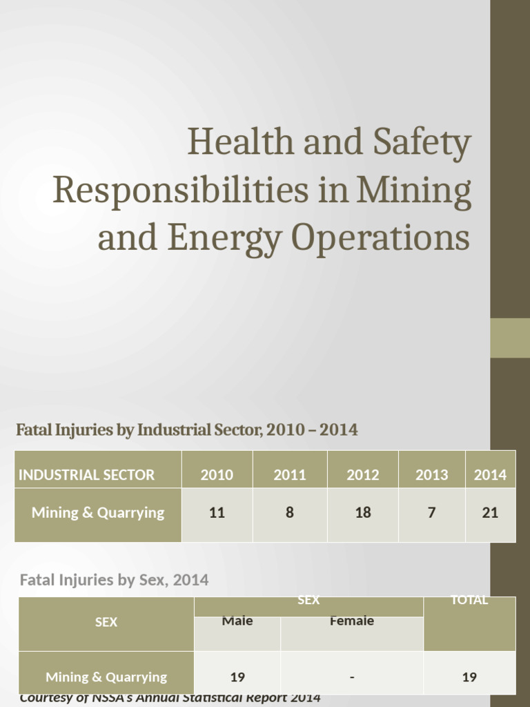 Mining Health and Safety Regulations Overview | PDF | Occupational Safety And Health | Mining