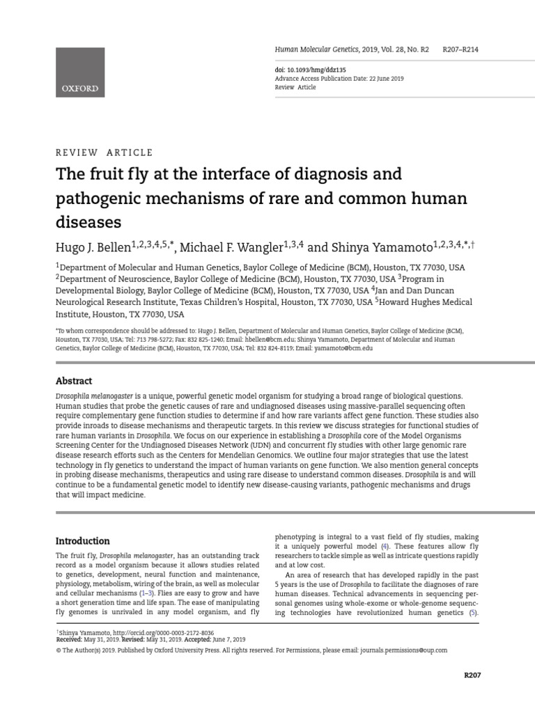 The Fruit Fly at The Interface of Diagnosis and Pathogenic Mechanisms ...
