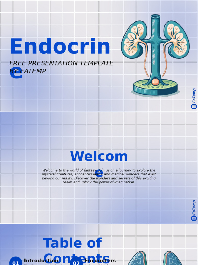 Endocrine PowerPoint Template by EaTemp | PDF | Fantasy | Elves