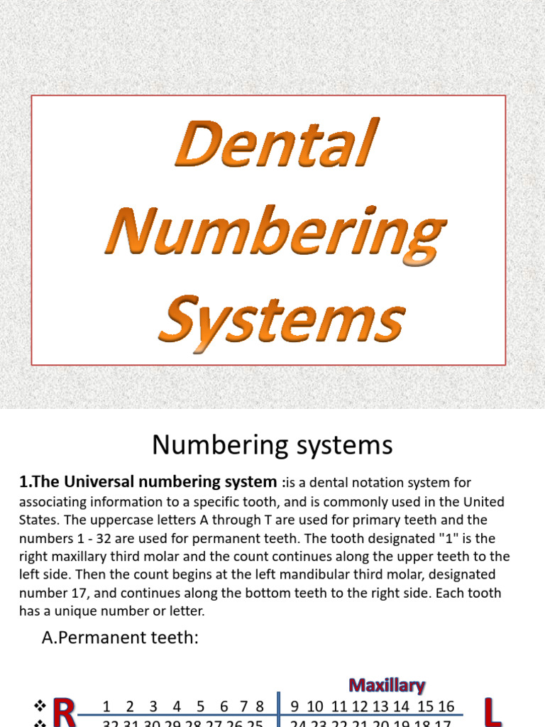 Tooth Numbering and Anatomical Landmarks | PDF | Dental Anatomy | Human ...