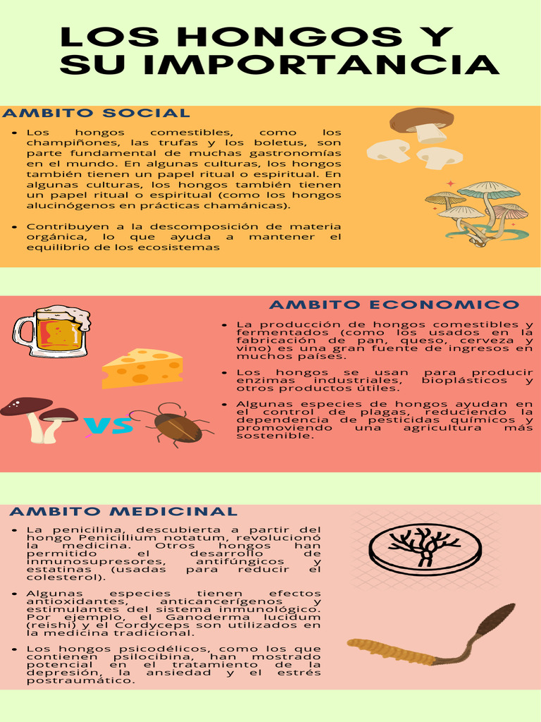 Blue Entrepreneur Personalities Business Infographic - 20250321 ...