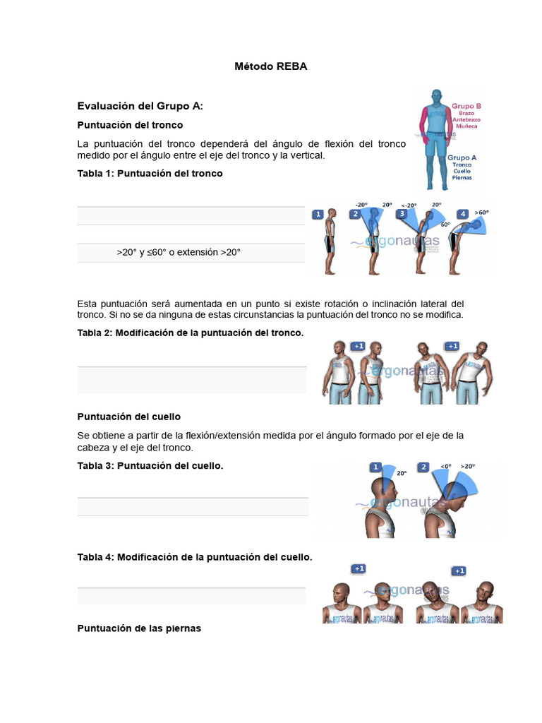 Método REBA | PDF | Rodilla