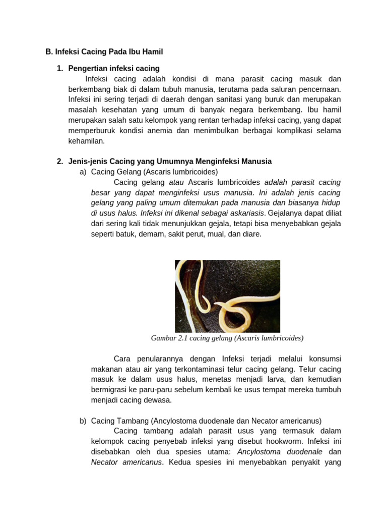 BAGIAN 2 MODUL PERSONAL HYGIENE INFEKSI CACING PADA IBUHAMIL | PDF