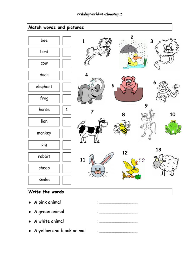 Vocabulary Matching Worksheet Elementary 15 Animals | PDF