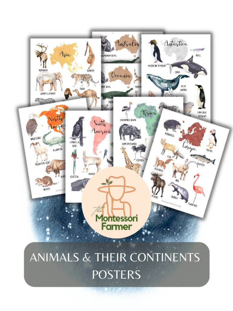 FREEBIE ONLY Animals & Their Continents Geography Posters by The ...