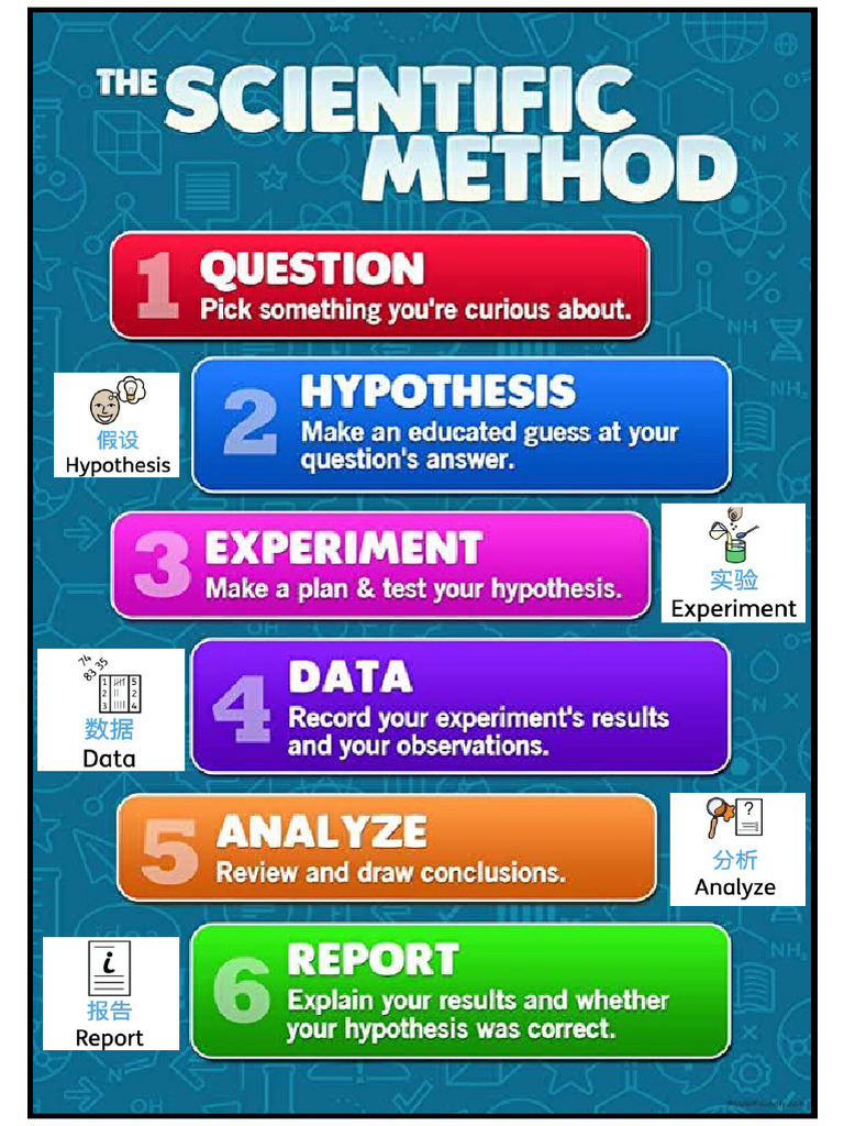 G4M Lab Report Template | PDF | Experiment | Science