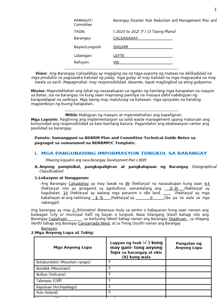 Updated BDRRM Plan Template_Filipino | PDF