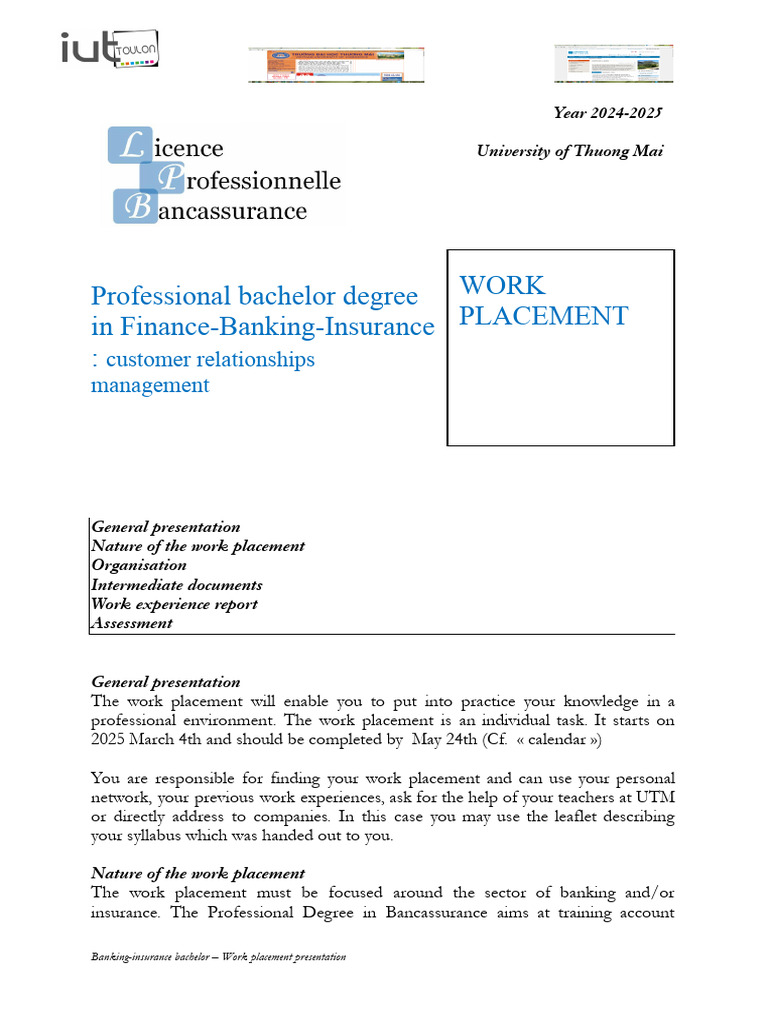 Banking-Insurance Work Placement Guide | PDF