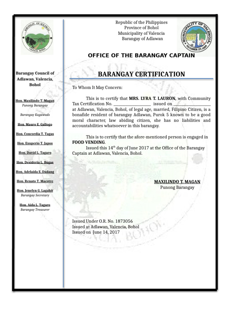 BARANGAY CERTIFICATION Blank | PDF