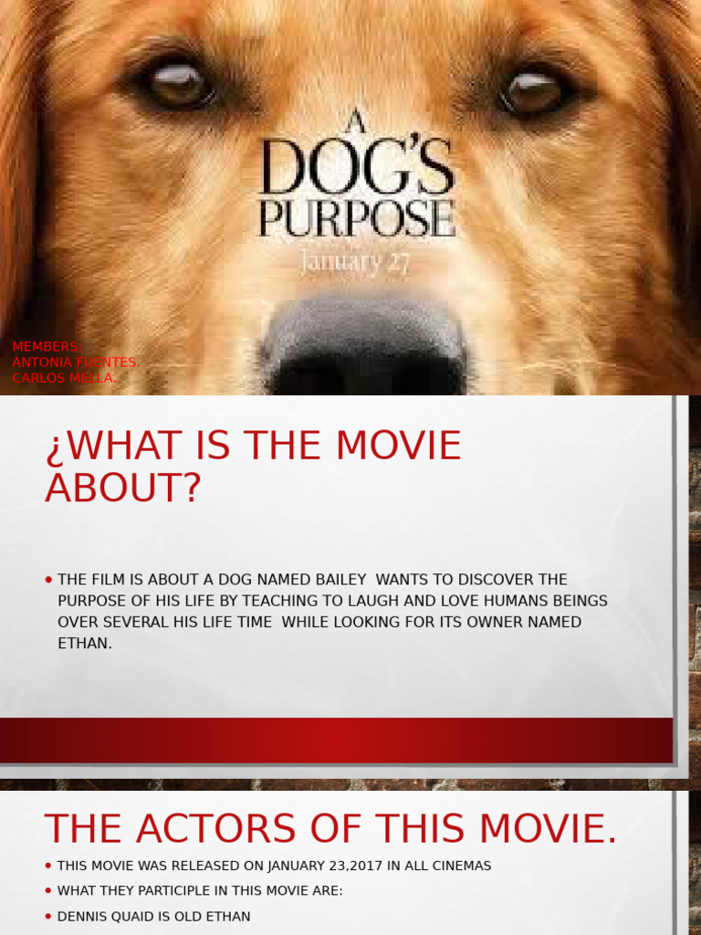 A Dog's Purpose: Movie Overview and Cast | PDF