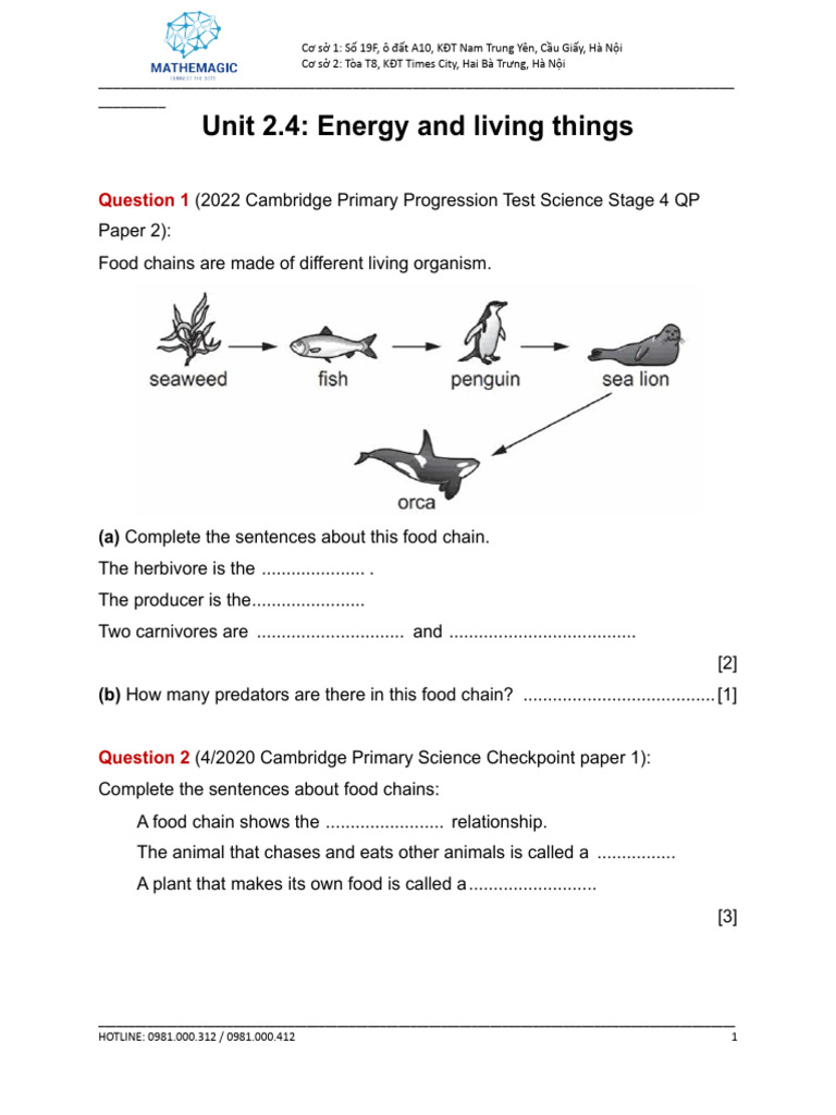 Food Chains and Organism Roles | PDF | Foods | Predation