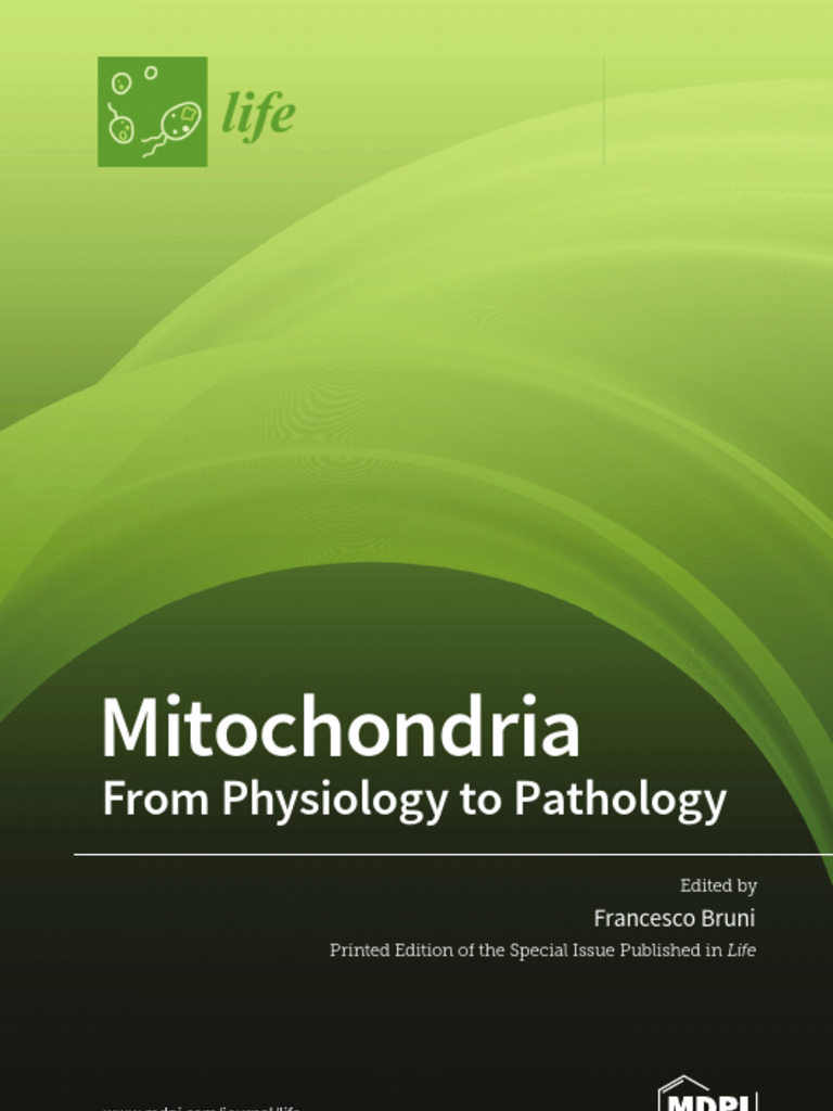 Mitochondria From Physiology To Pathology | PDF | Mitochondrion | Cardiovascular Diseases