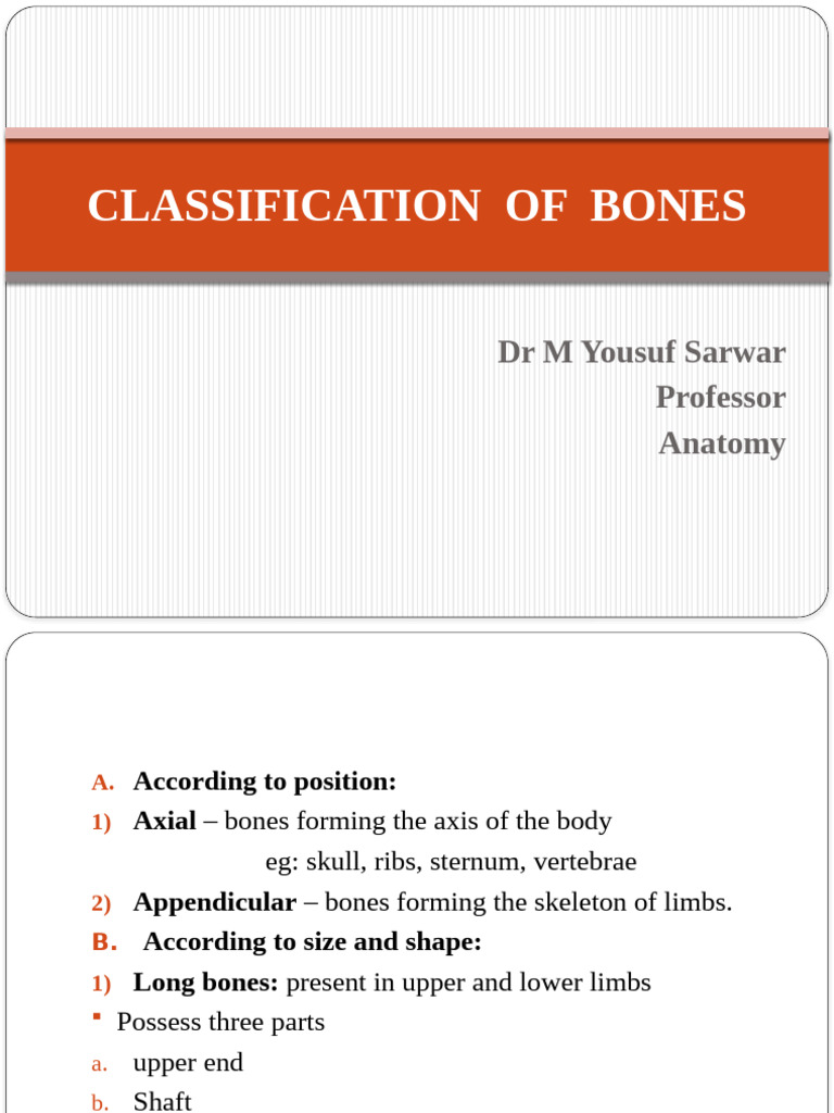 Classification of Bones | PDF | Cartilage | Bone