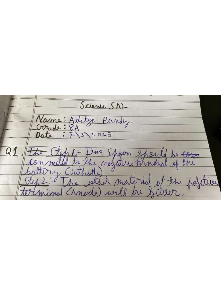 Aditya Pandey Science 8A | PDF