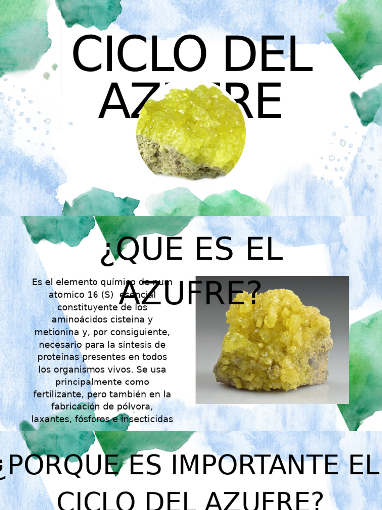 Ciclo Del Azufre | PDF