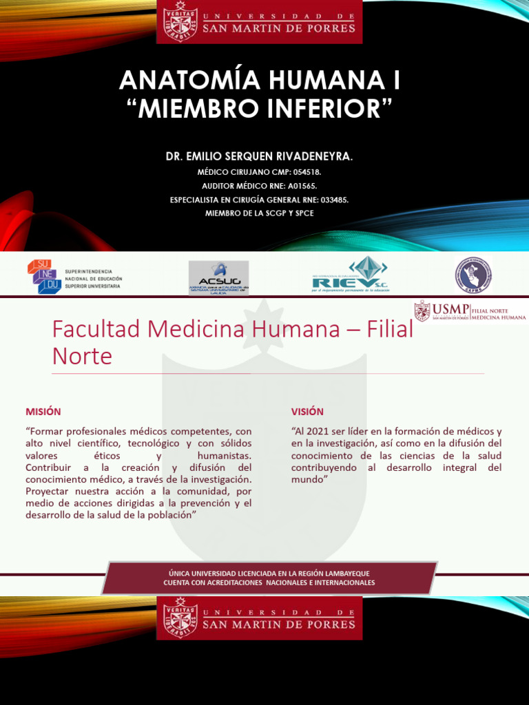 09 Región Inguino Crural | PDF