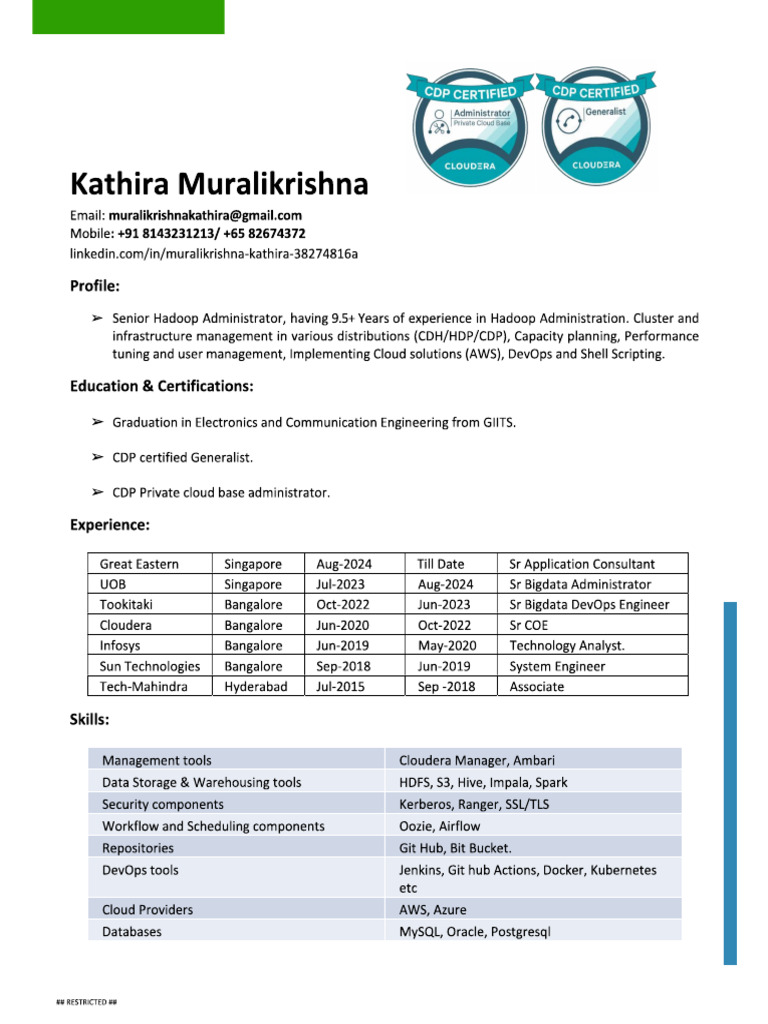 MK Resume Feb 18 2025 | PDF