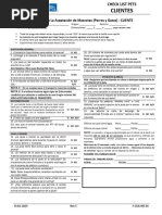 Guia de Registro de Viajero Importador y Pago Del Cis | PDF | Negocios | Finanzas y dinero