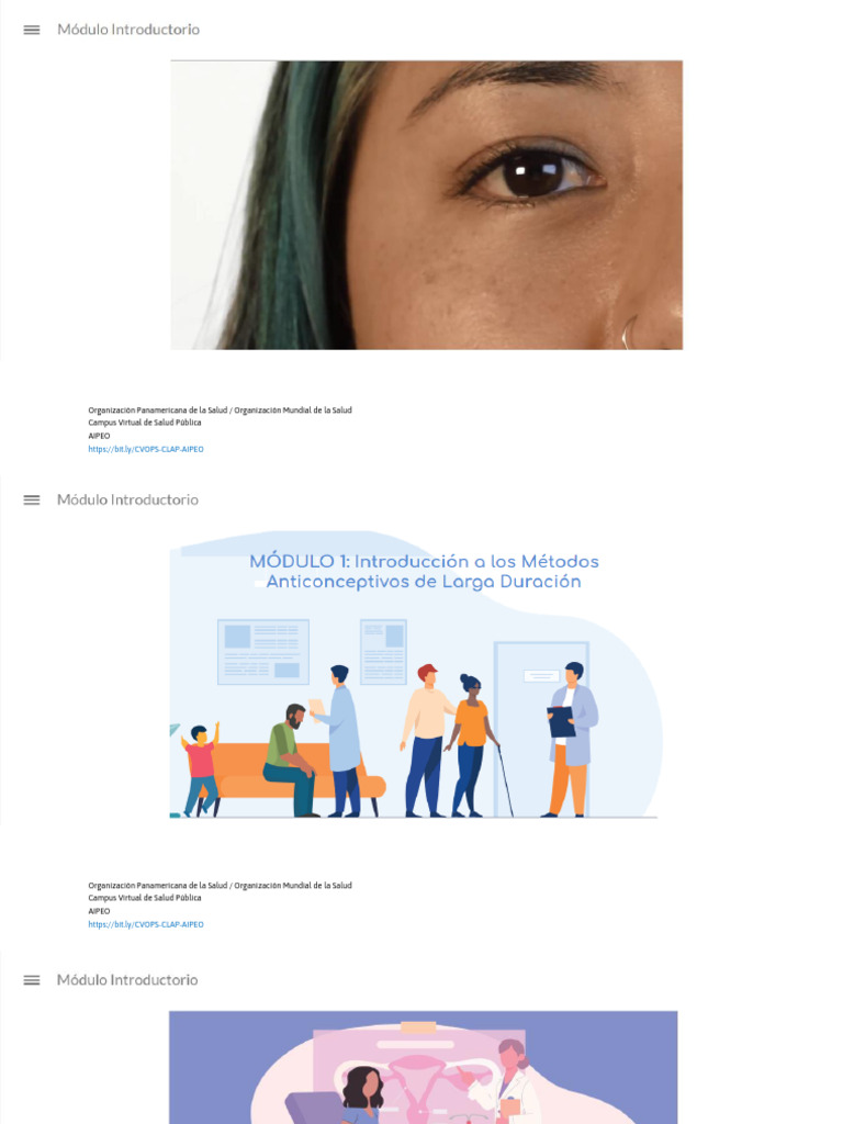 Módulo Introductorio | PDF