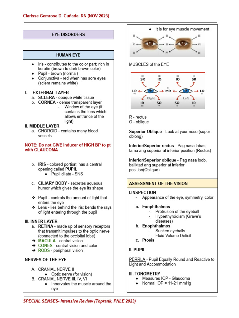 Special Senses Notes PDF | PDF | Ear | Glaucoma