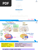Red and Orange Flags For Secondary Headache (SNOOP 10) | PDF | Headache ...