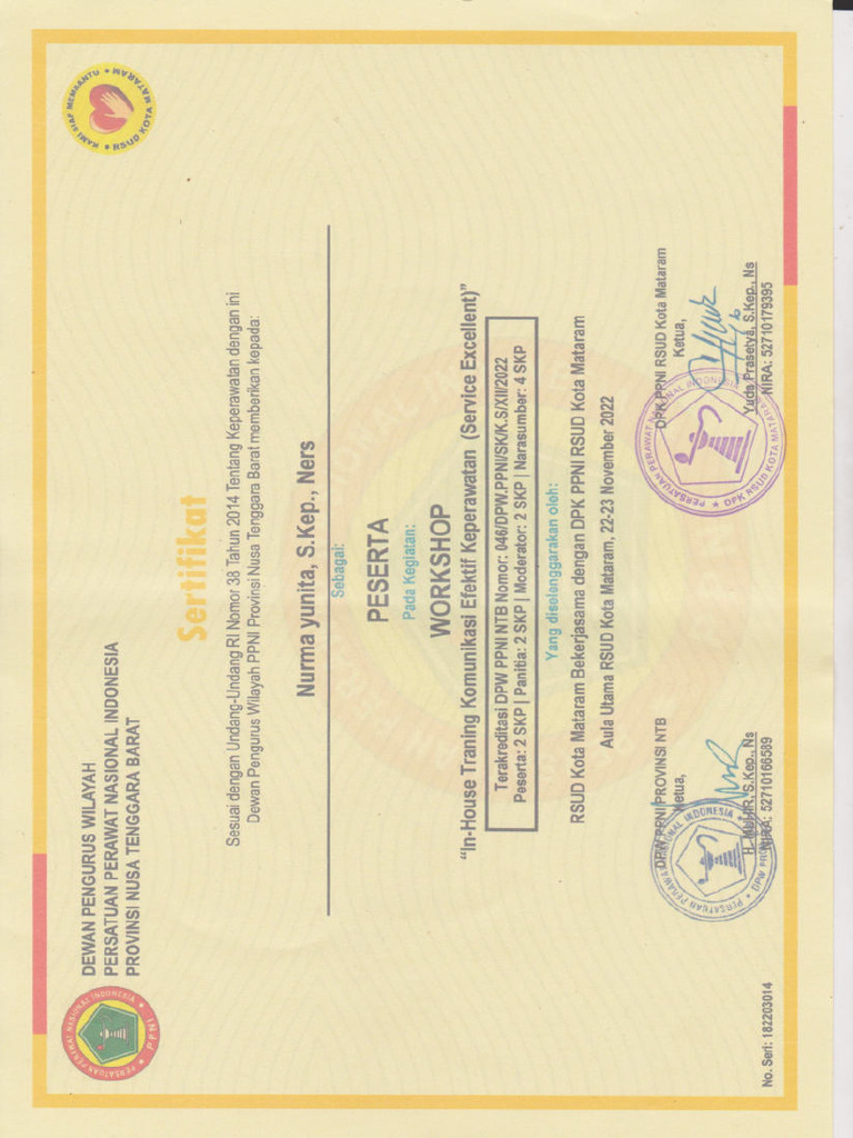 9.sertifikat Workshop DPW PPNI NTB | PDF