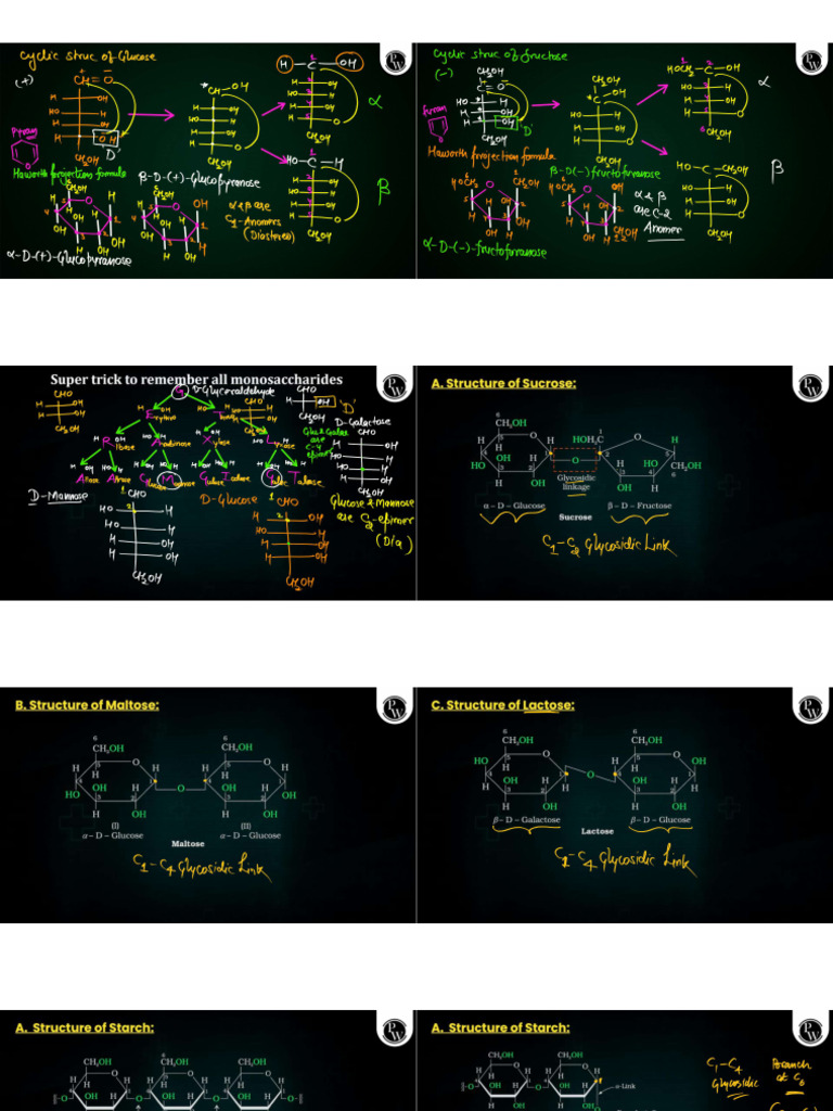 Biomolecules Short Notes | PDF