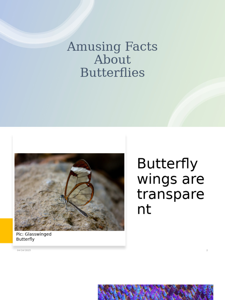 Fascinating Butterfly Facts and Species | PDF