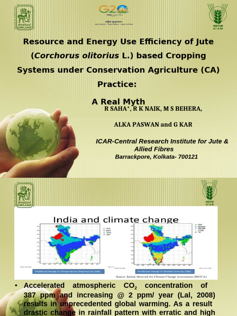 Jute Cropping Systems for Sustainability | PDF | Agriculture | Tillage