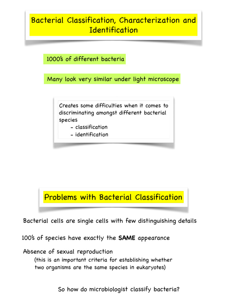 LIFS 3060 Classification of Bacteria 2025 | PDF | Bacteria | Species