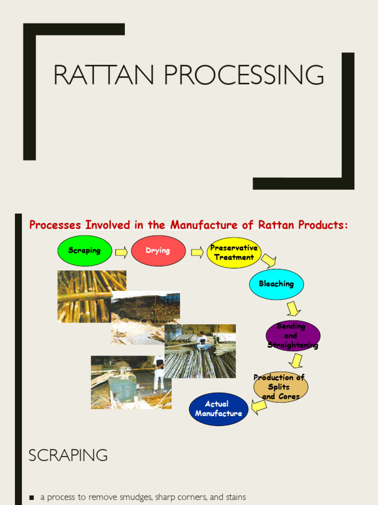 Lecture 6 Rattan Processing | PDF | Varnish | Industrial Processes