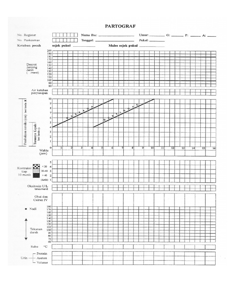 Lembar Partograf New | PDF