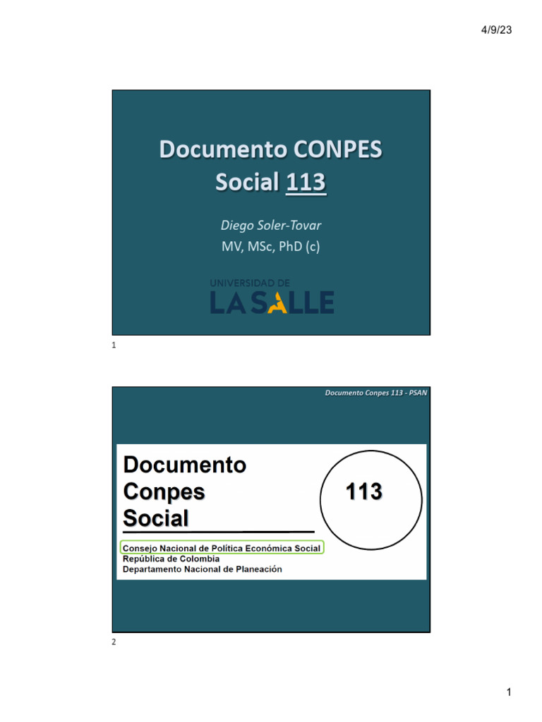 Documento CONPES 113 | PDF | Alimentos | Seguridad alimentaria