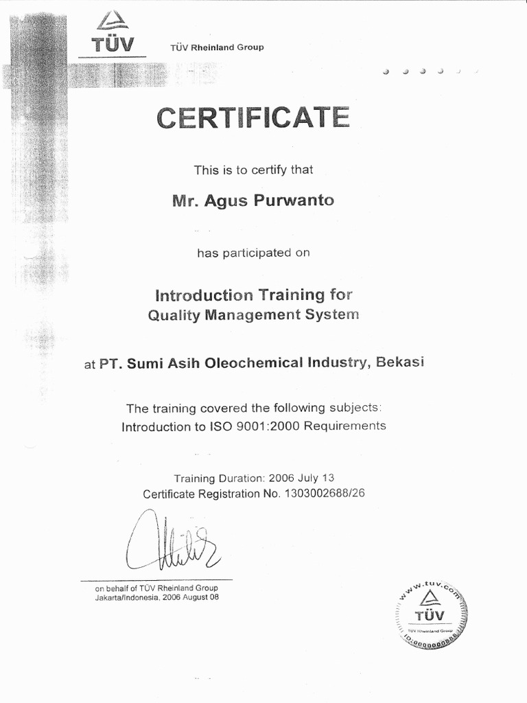 Iso 9001 | PDF