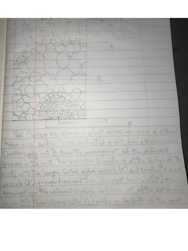 BIO 107 Assignment | PDF