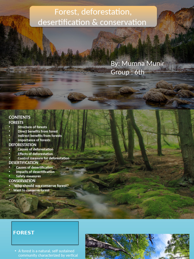 Forest, Deforestation, Desertification & Conservation | PDF | Forests ...