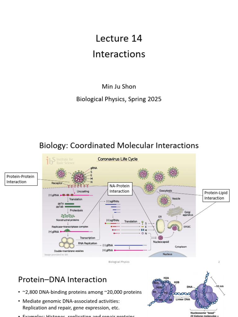 L14. Interactions - Slides | PDF | Biochemistry | Chemistry