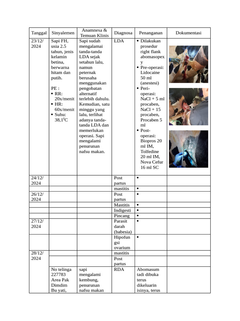 Logbook IHB Dan Repro Besar | PDF