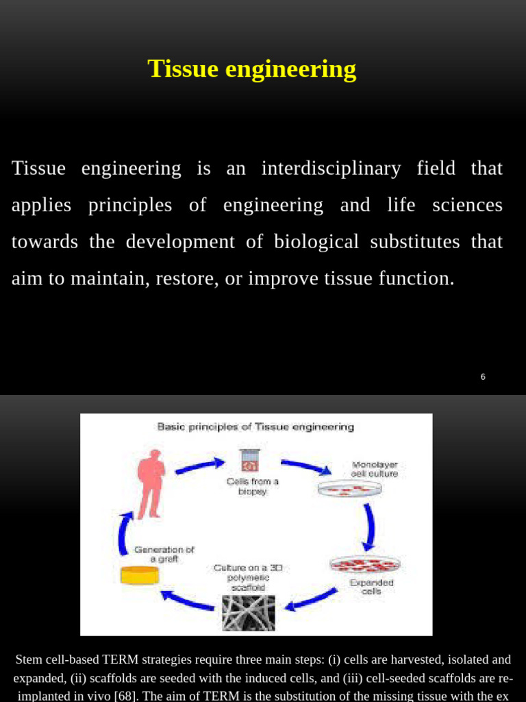 tissue-engineering reversed | PDF | Tissue Engineering | Stem Cell