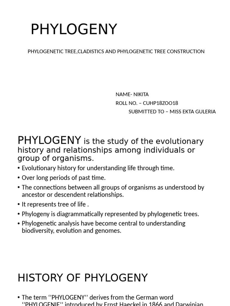Phylogeny: Trees and Cladistics Explained | PDF | Phylogenetic Tree | Clade